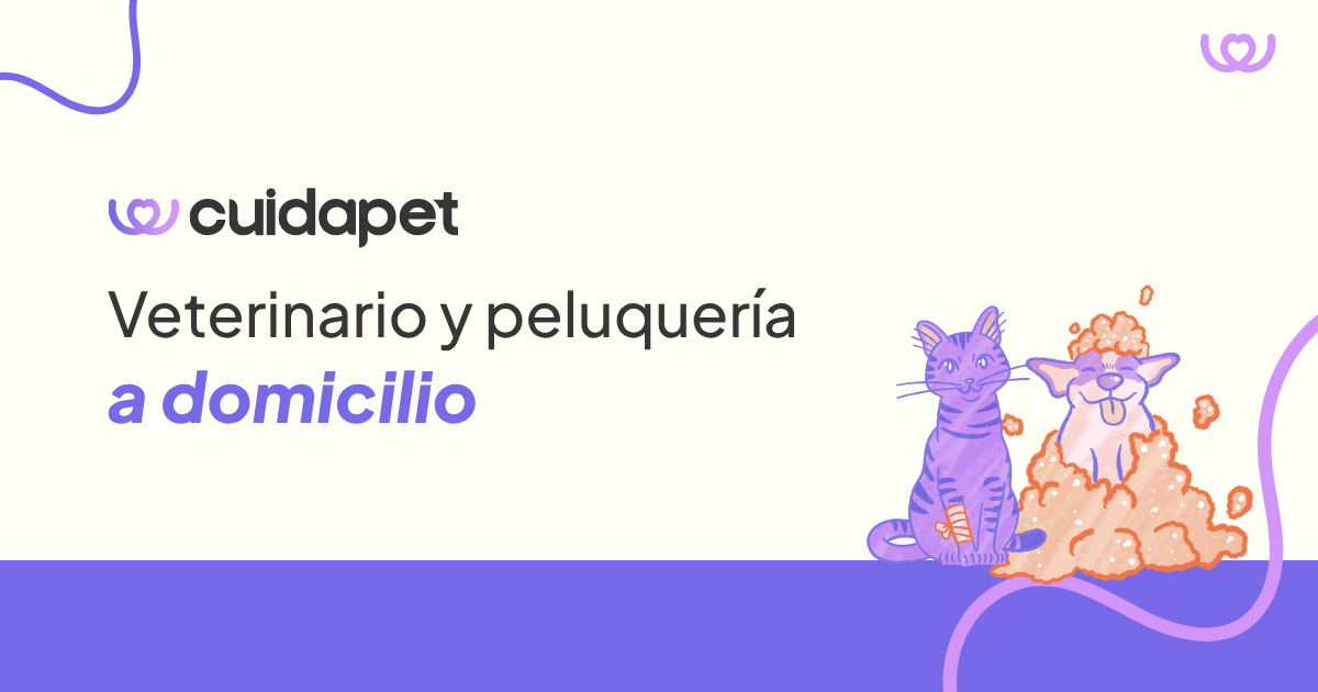 Peluquería canina a domicilio | Baño y corte sin estrés en tu hogar | Desde $28.000 | CuidaPet